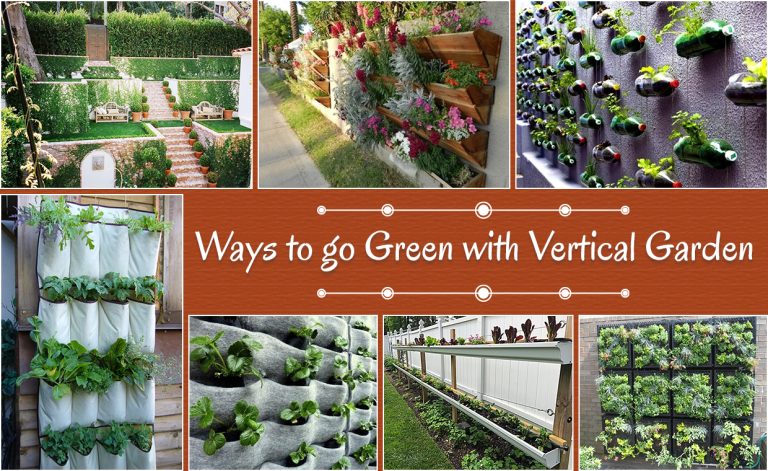 » Vertical Organization Systems: Using Walls to Maximize Space in Small ...
